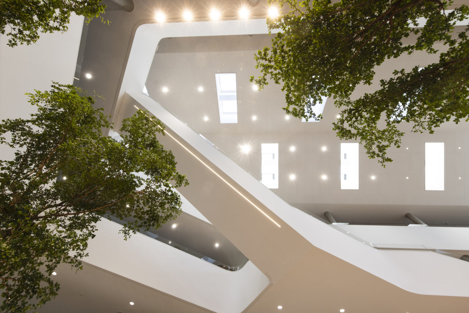 DLG’s nye domicil er kåret til ÅRETS KONTORBYGGERI 2021 - Nohrcon